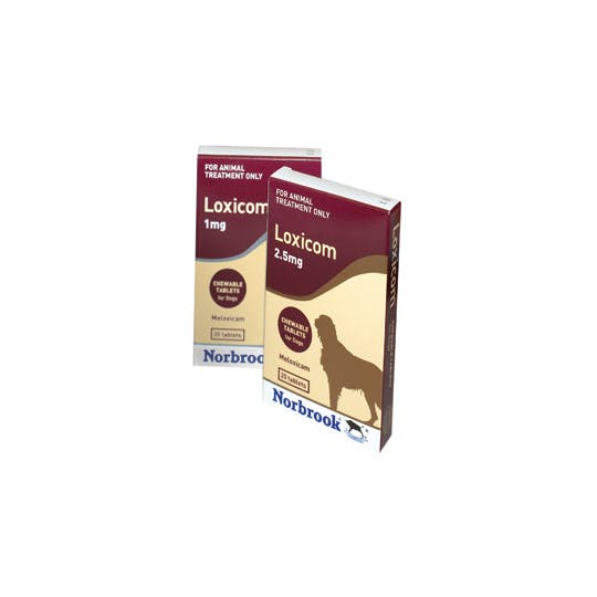 Buy Loxicom Chewable Tablet for Dogs from £0.54 - UK Pets