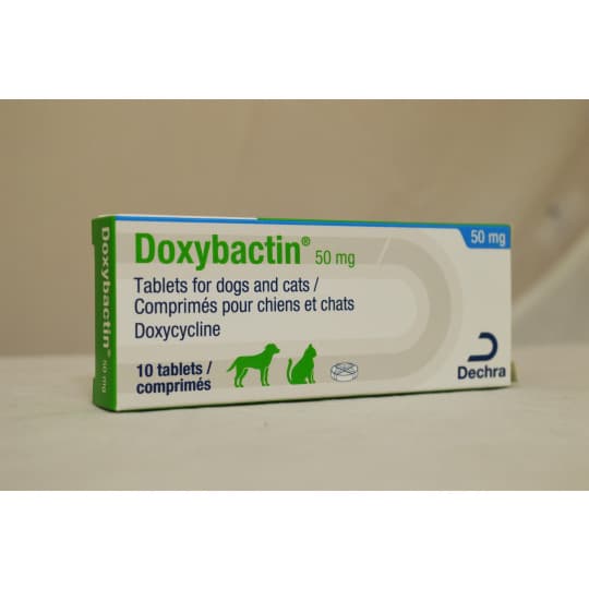Buy Doxybactin for Dogs and Cats - Tablets from £1.25 | UK Pets