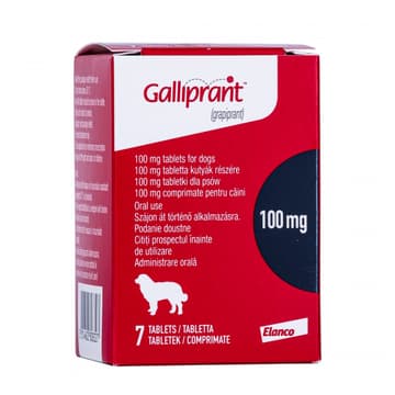 Buy Galliprant for Dogs Online from 87p | Save 74% | UK Pets