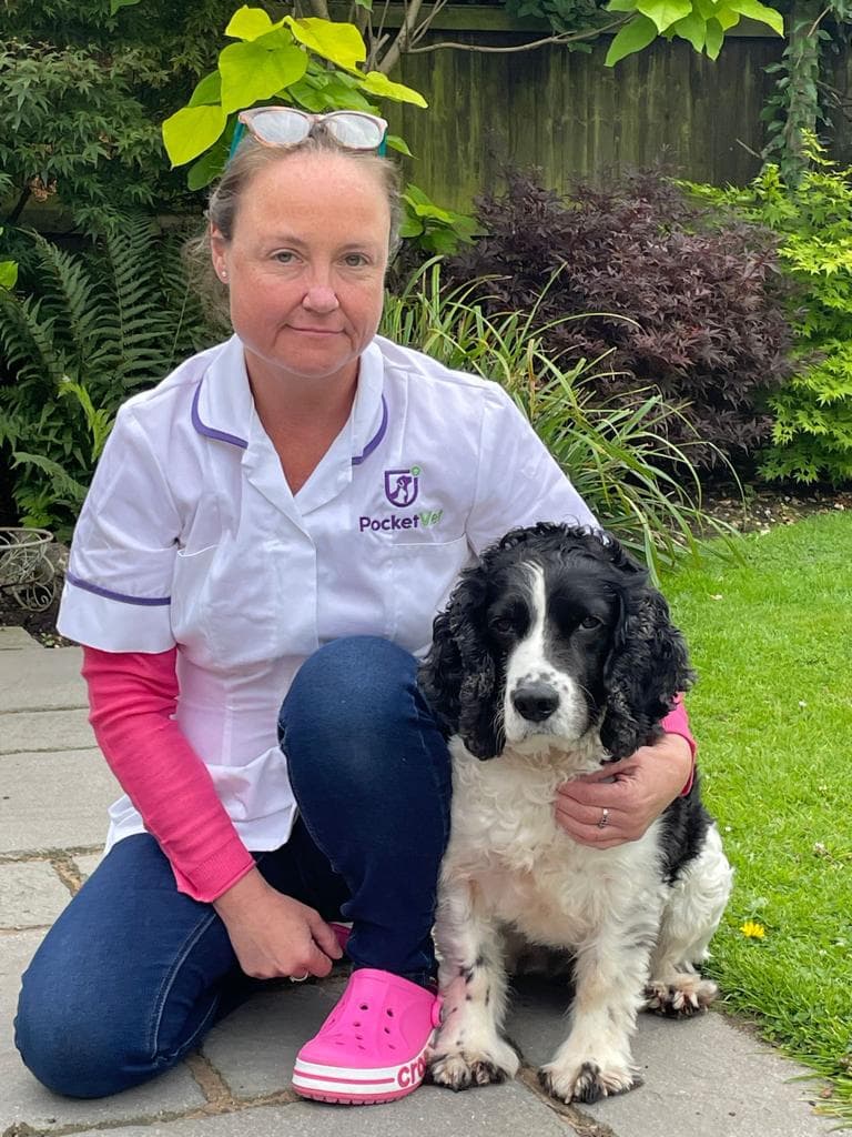 Caring for Blind & Deaf Pets: Tips from a Qualified Vet